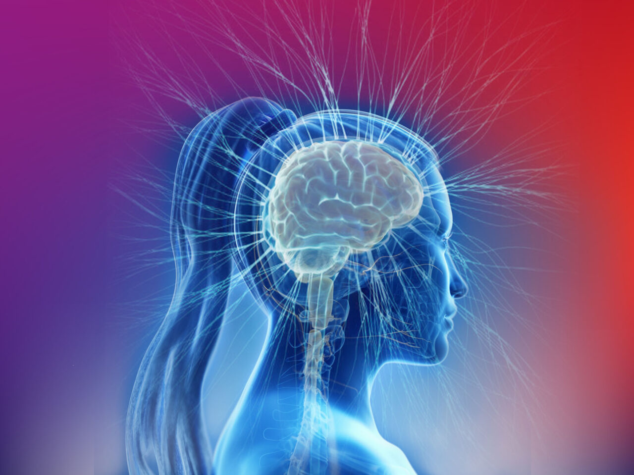 What is the Biofield? - Alessandra Gilioli