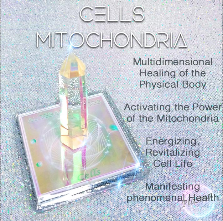 Mighty Mitochondria, Plasma Pillars and Sacred Tools - Alessandra Gilioli