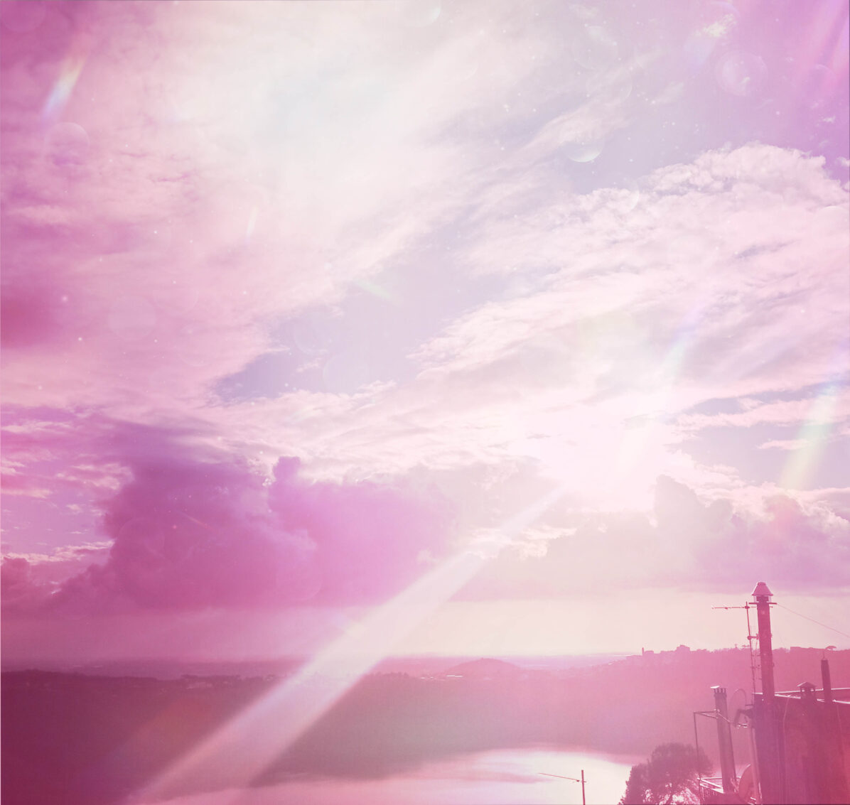 PINK PRISM EVENT: ACCESSING THIS NEW SHIFT IN TEAM-MODE - Alessandra Gilioli